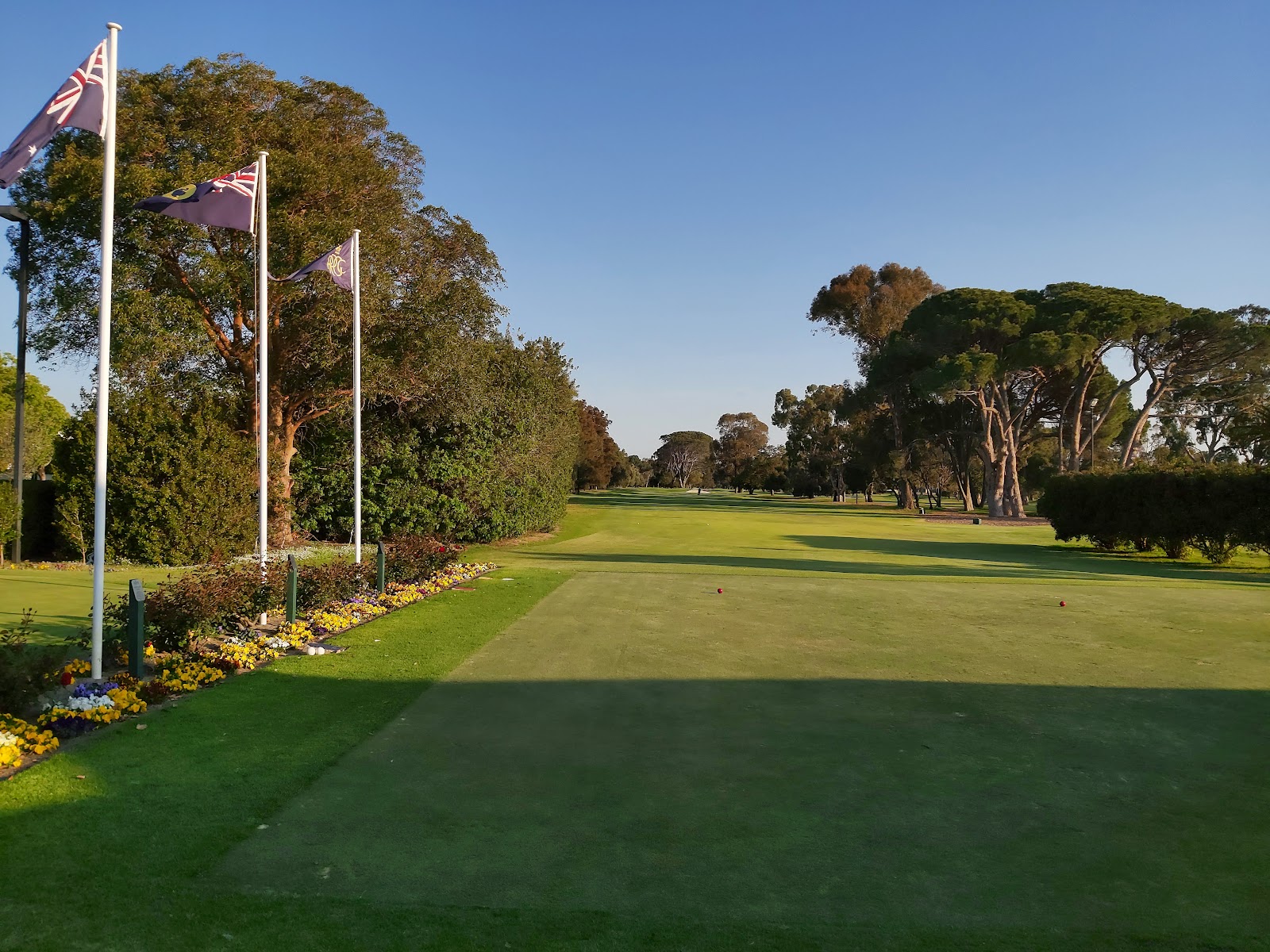 Free In-Person Workshop: Perth Power Tools – Boost Productivity with Bluebeam